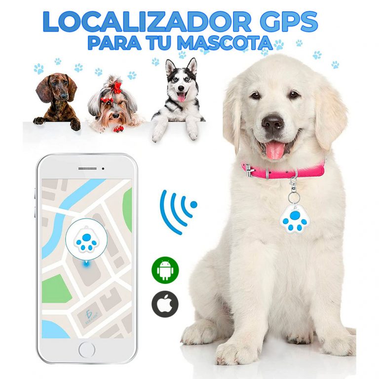 Rastreador GPS Mascotas | Envío Gratis México -50% – ELE-GATE