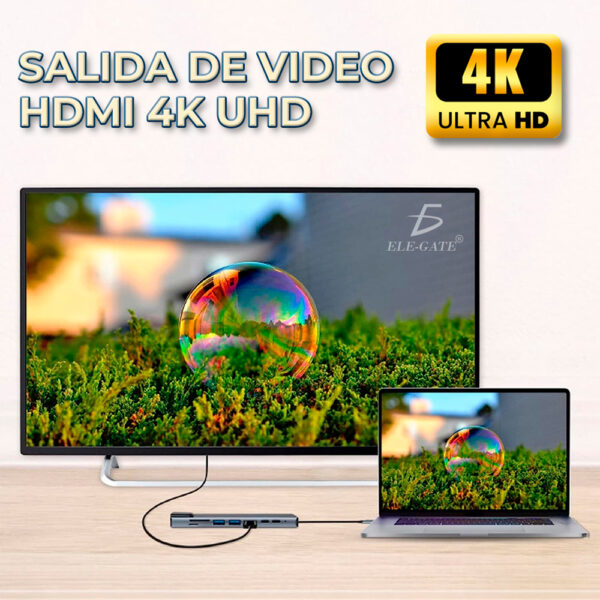 Hub USB 3.0 de 8 Puertos Tipo C | Alta Velocidad -20% $160 – ELE-GATE