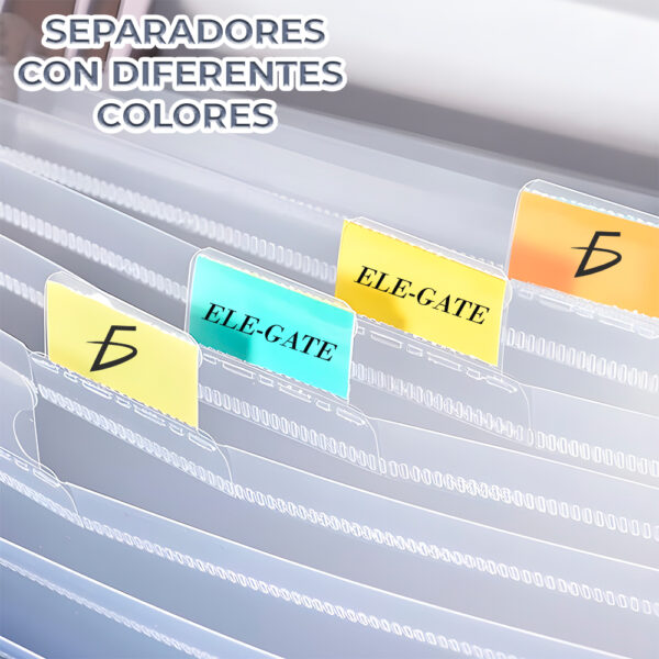 Folder Organizador A4 con Separadores de Colores Impermeable y contra ...